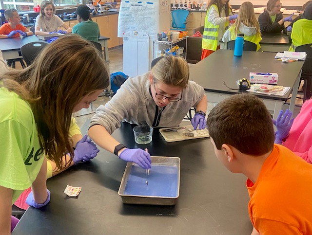 BVR senior leads 7th grade lab dissecting zebrafish for Student ...